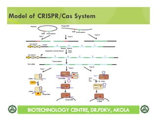 Crispr cas | PDF