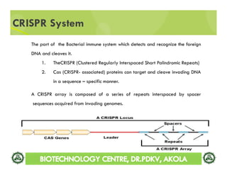 Crispr cas | PPT