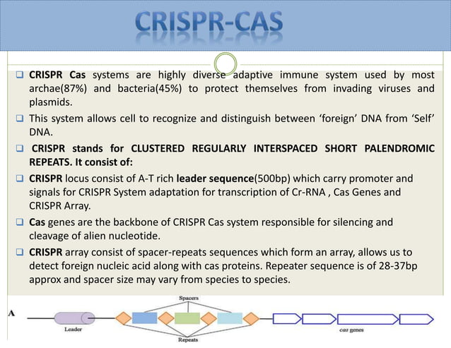 Crispr cas | PPTX | Biotech and Biomedical Industry | Industries