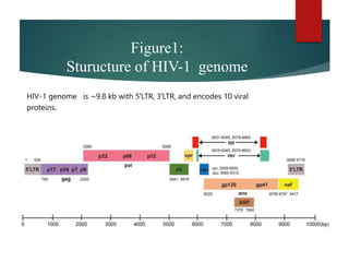 The role of CRISPR CAS-9 in the treatment of HIV | PPTX