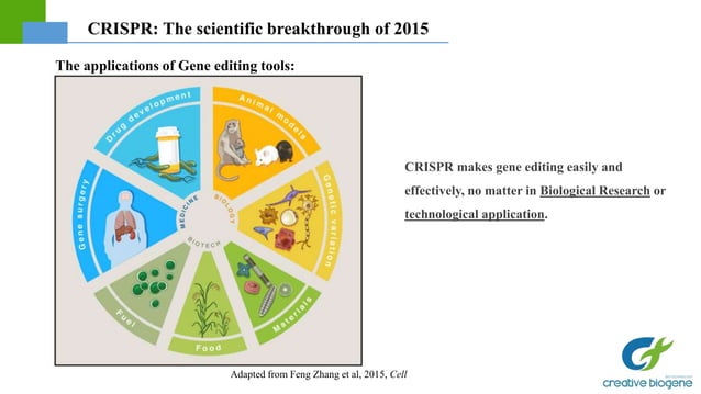 Crispr cas9-Creative Biogene | PPTX | Programming Languages | Computing