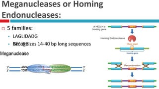 CRISPR Cas9 | PPT