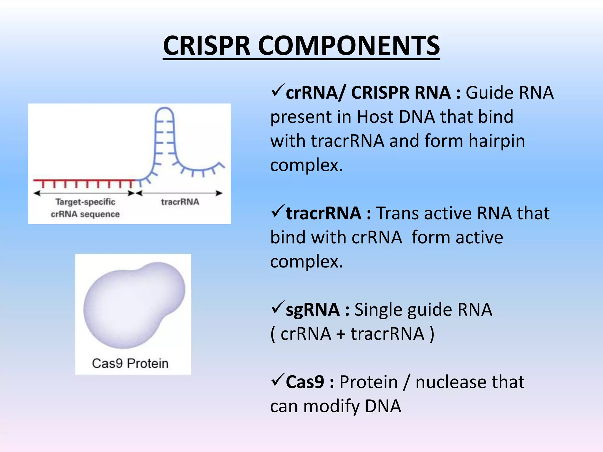 CRISPR CAS9 technique | PPTX