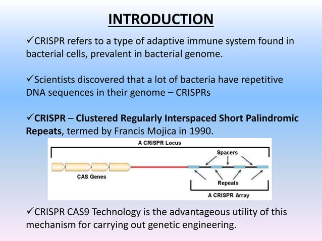 CRISPR CAS9 technique | PPTX | Programming Languages | Computing