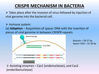 CRISPR CAS9 technique | PPTX