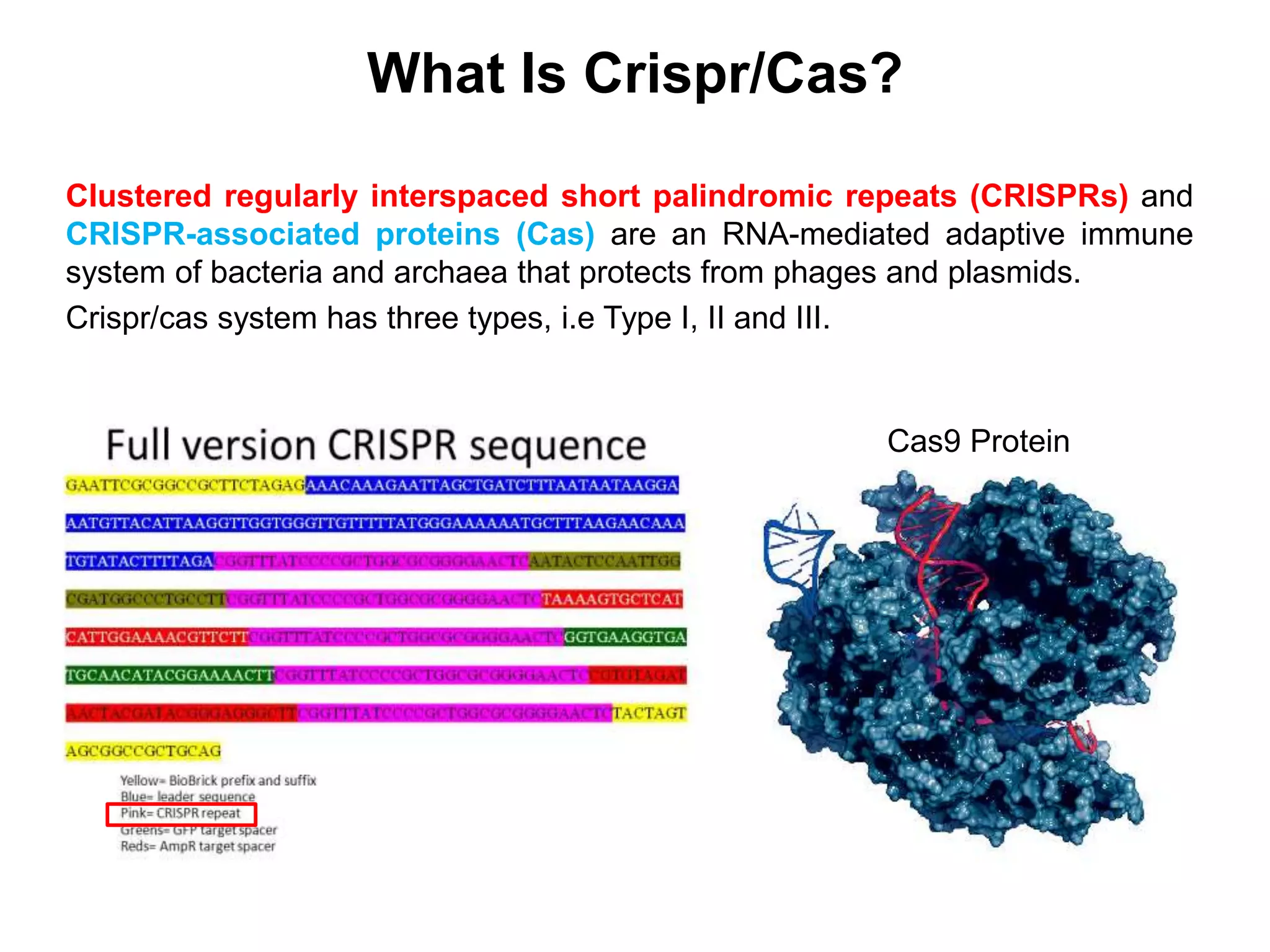 Crispr cas9 | PPTX