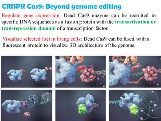 Crispr cas9 | PDF