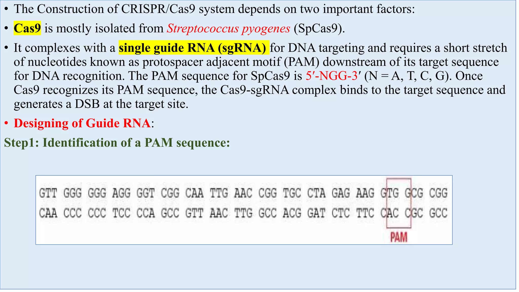 CRISPR CAS9.pptx