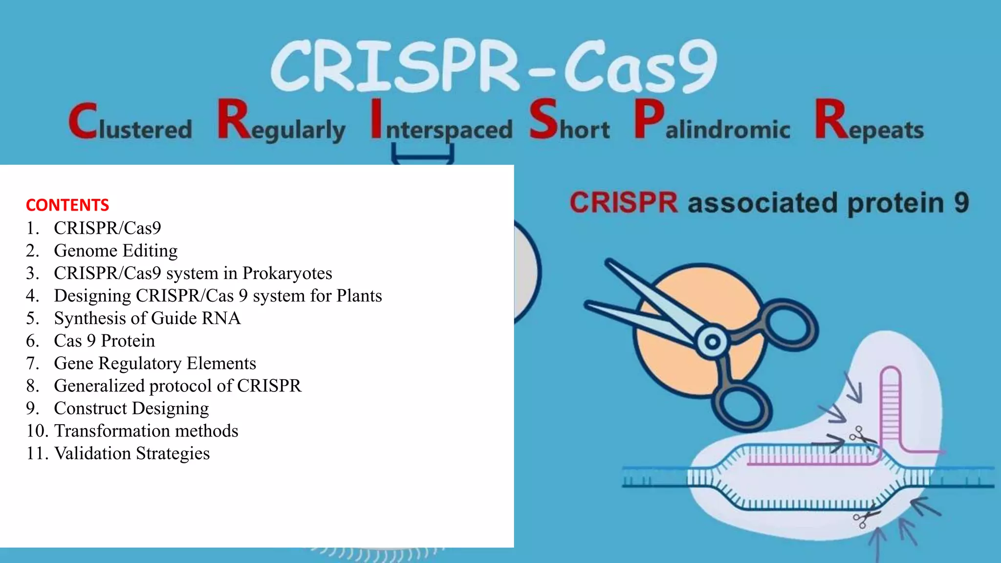 CRISPR CAS9.pptx