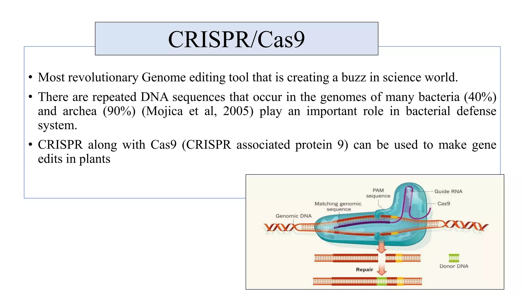 CRISPR CAS9.pptx