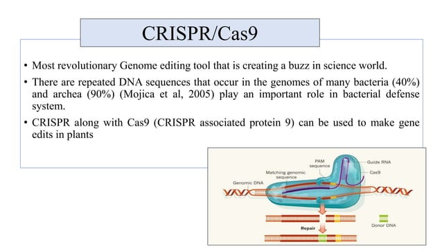 CRISPR CAS9.pptx