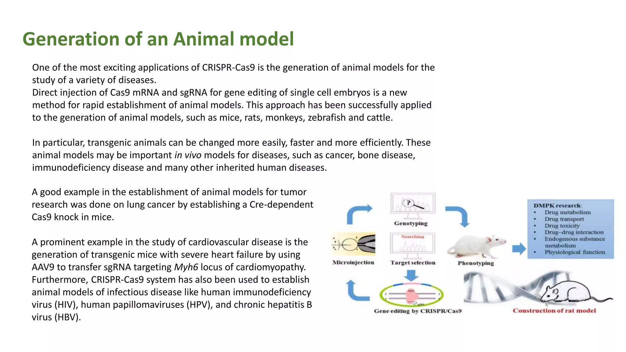 CRISPR Cas 9.pptx