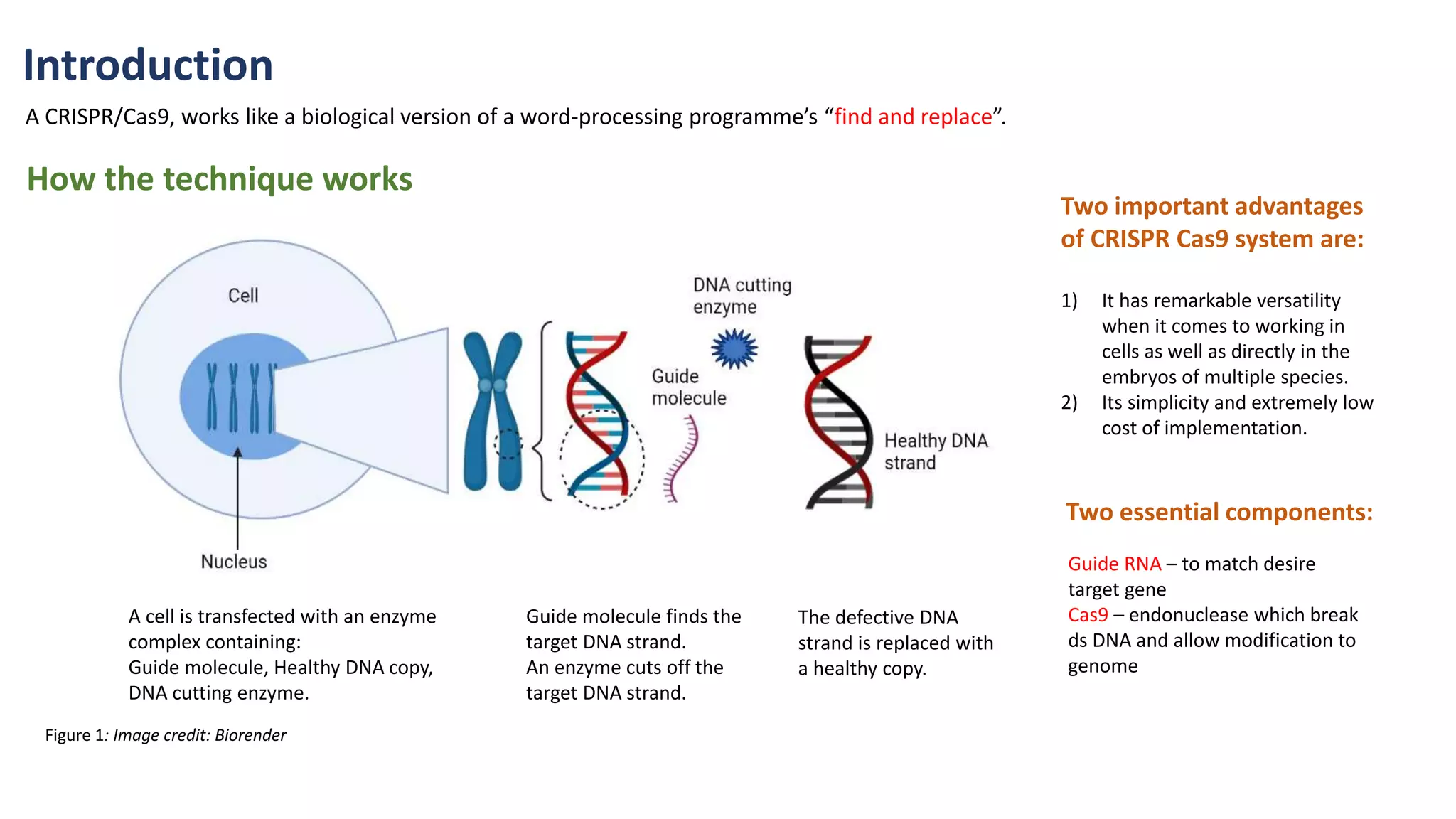 CRISPR Cas 9.pptx