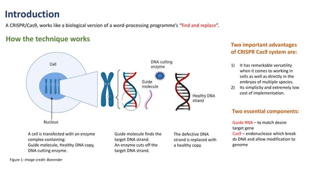 CRISPR Cas 9.pptx | Programming Languages | Computing