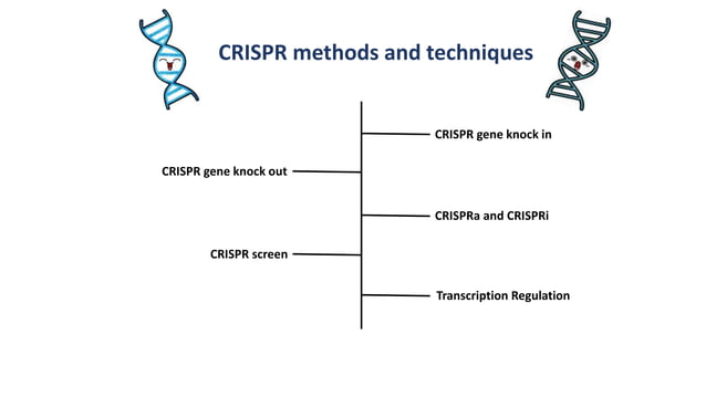 CRISPR Cas 9.pptx | Programming Languages | Computing
