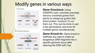 Genome editing tool Crispr Cas 9 in modifying Plant Genome | PPTX