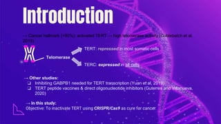 CRISPR cas9 mediated TERT disruption in cancer cells | PPT