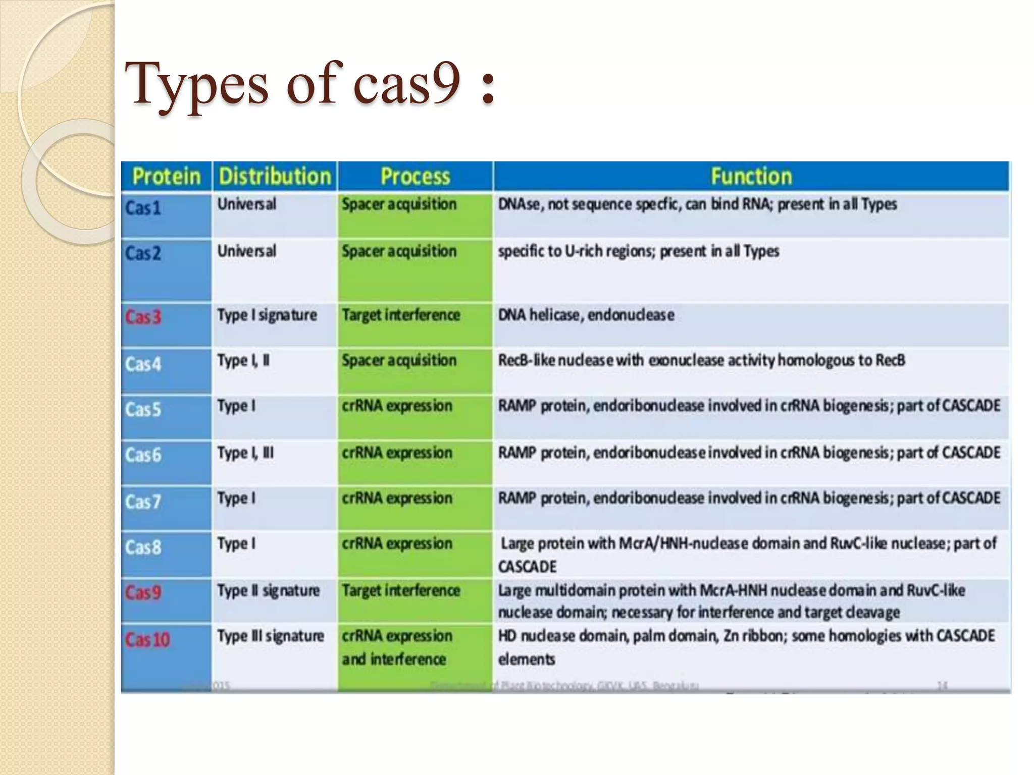 Crispr cas9 based system for therapeutics | PPTX | Programming ...