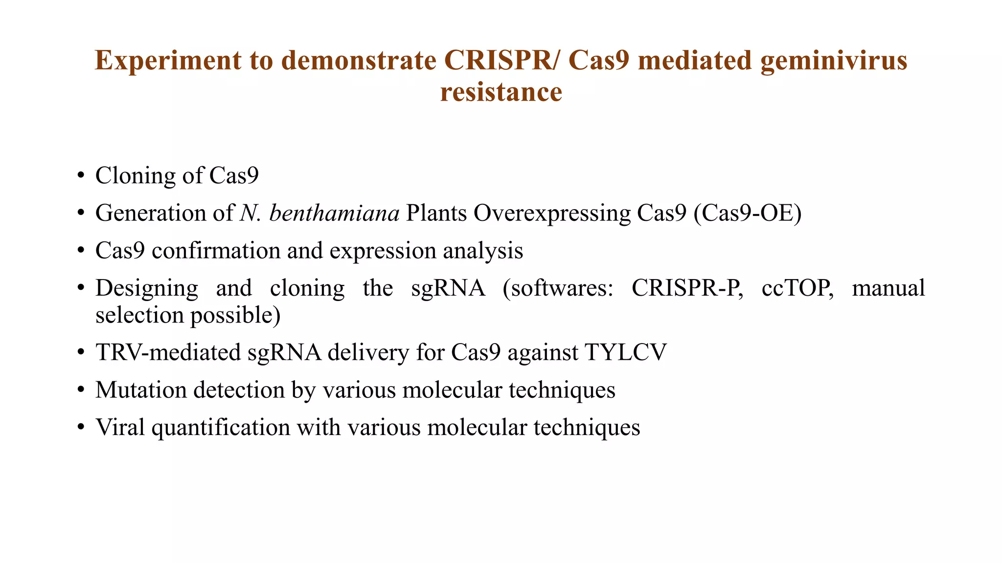 CRISPR Cas9 for geminivirus resistance Mahima.pptx