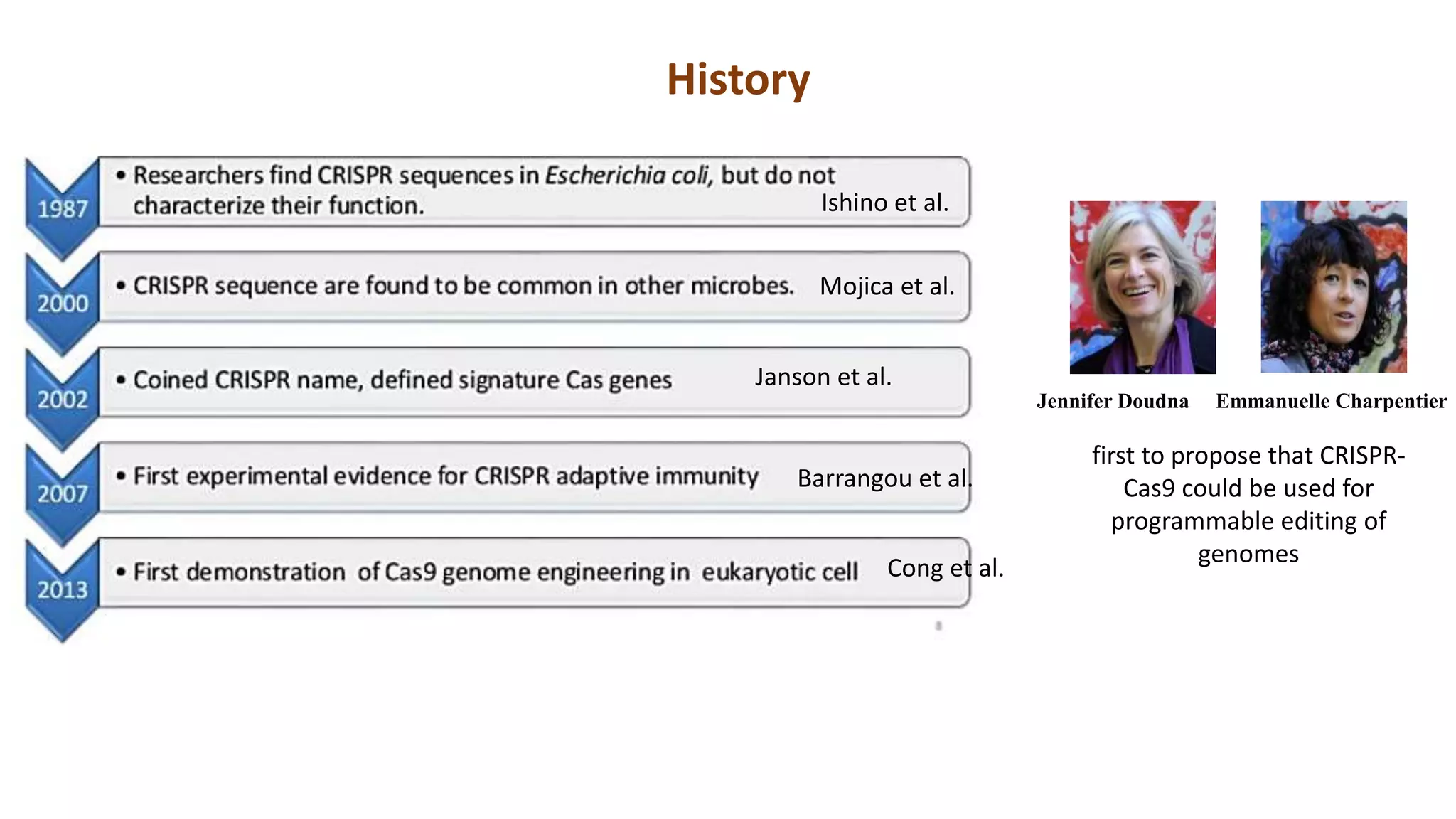 CRISPR Cas9 for geminivirus resistance Mahima.pptx