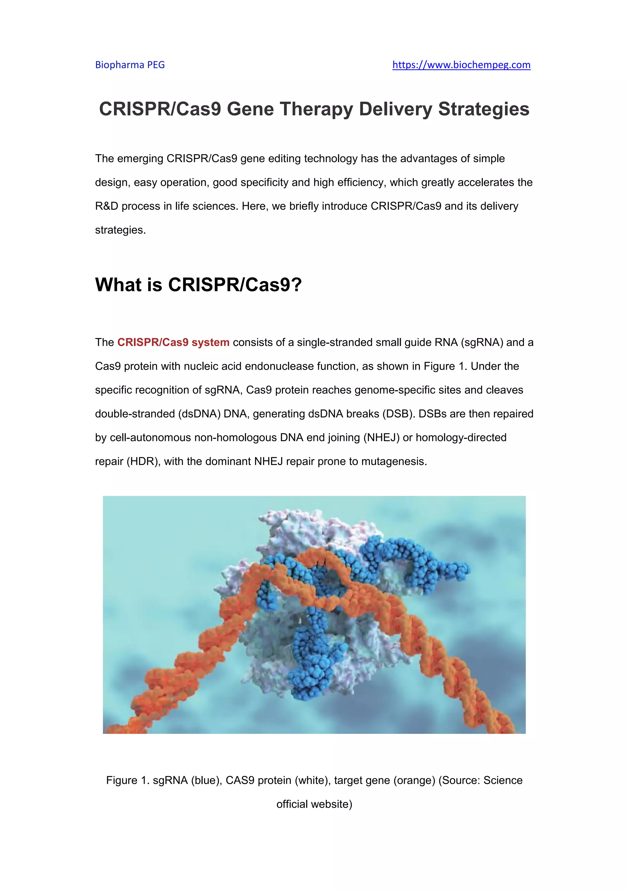 CRISPRCas9 Gene Therapy Delivery Strategies.pdf