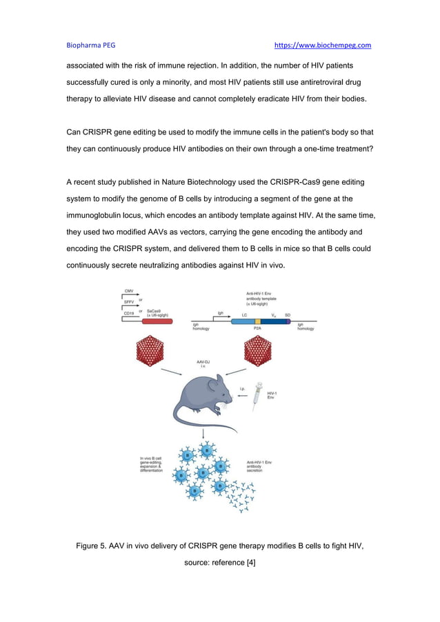 CRISPRCas9 Gene Therapy Delivery Strategies.pdf