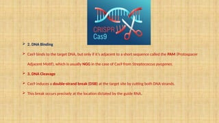 CRISPR Cas9 Kshirsagar Ravindra molecular biology | PPSX