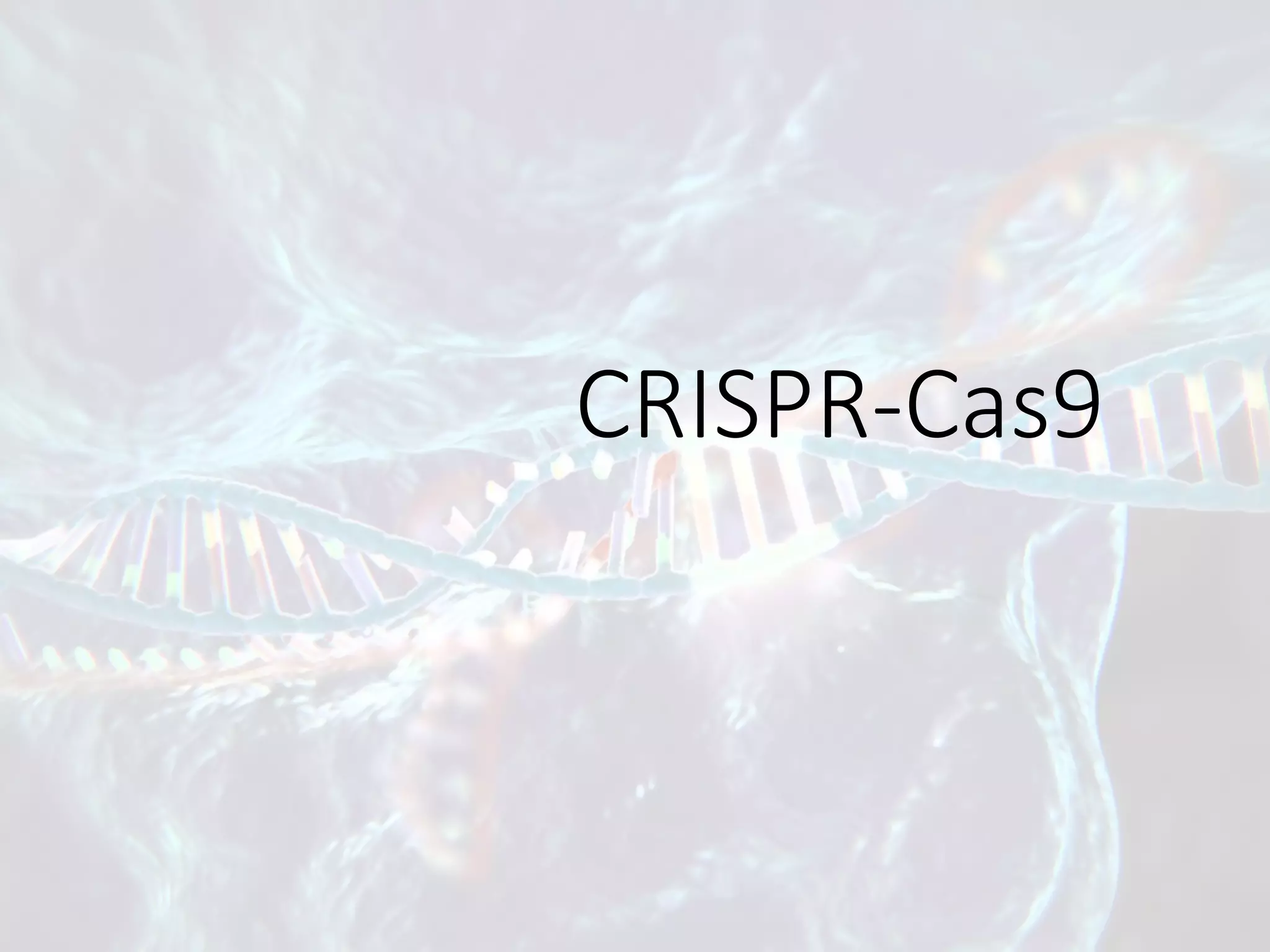 The CRISPR/CAS9 genome editing system and humans | PDF
