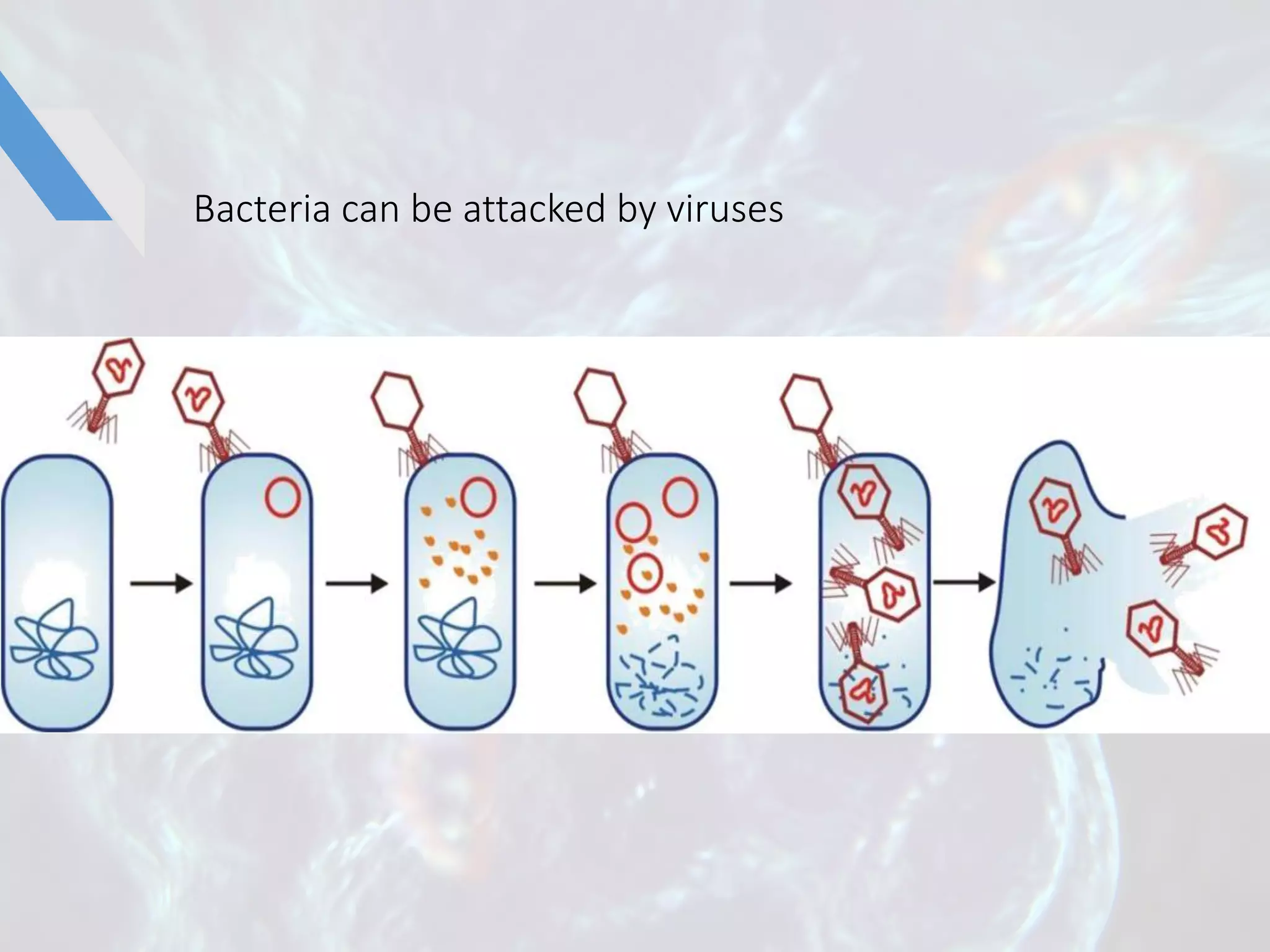 The CRISPR/CAS9 genome editing system and humans | PDF