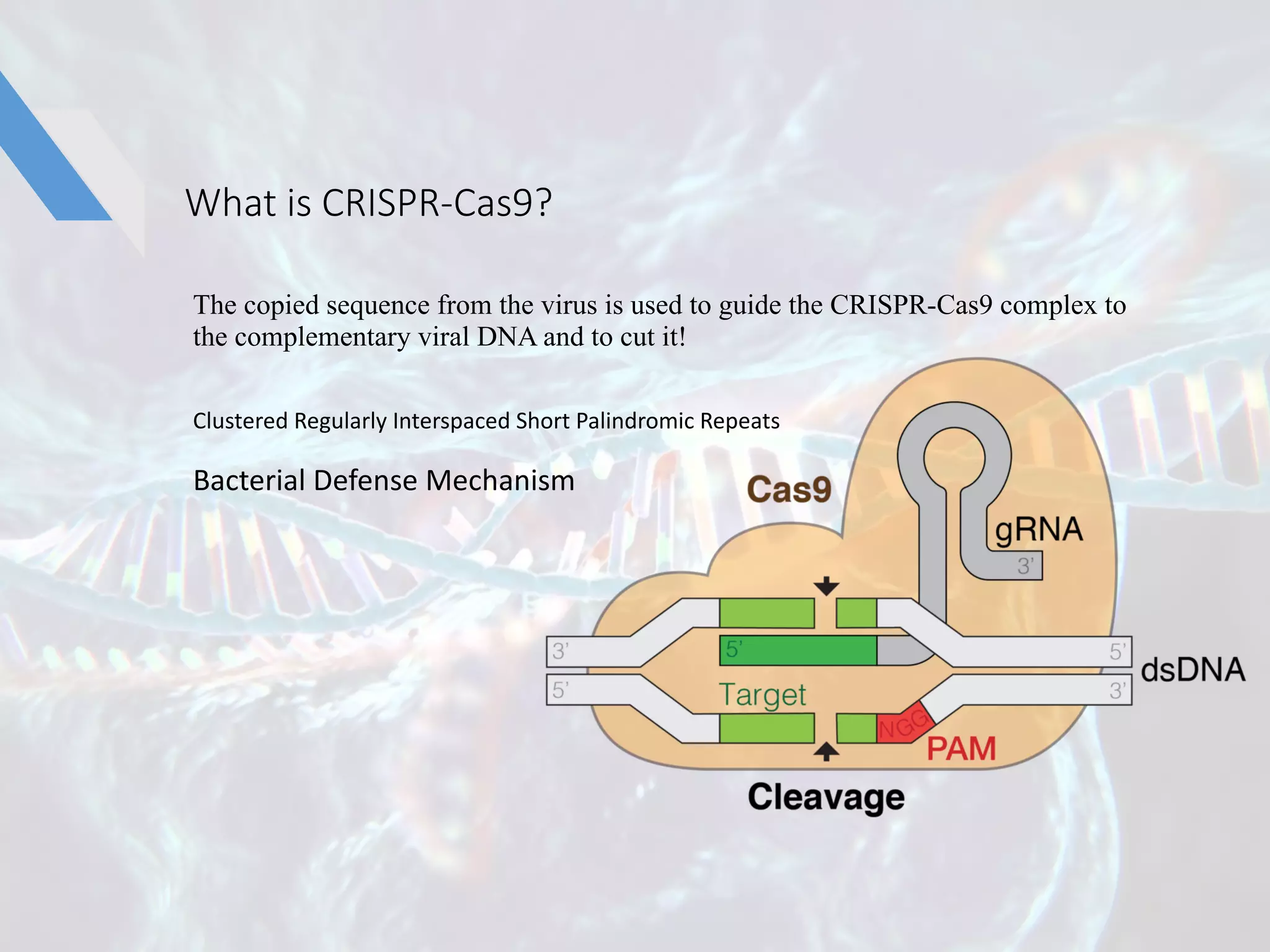 The CRISPR/CAS9 genome editing system and humans | PDF