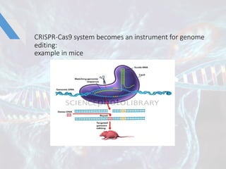 The CRISPR/CAS9 genome editing system and humans | PDF