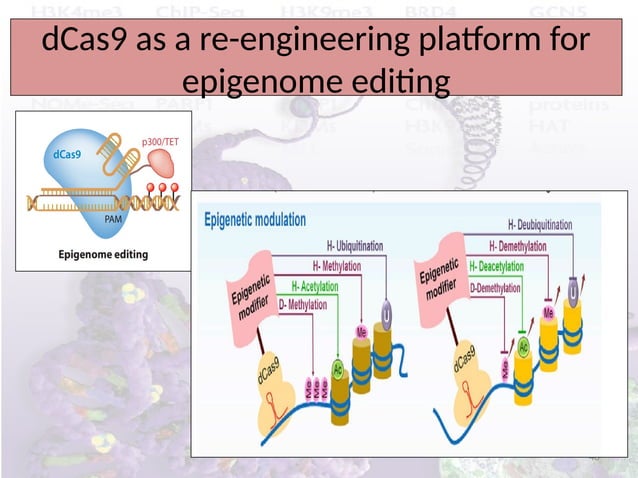 crispr cas nine modification techniques | PPTX