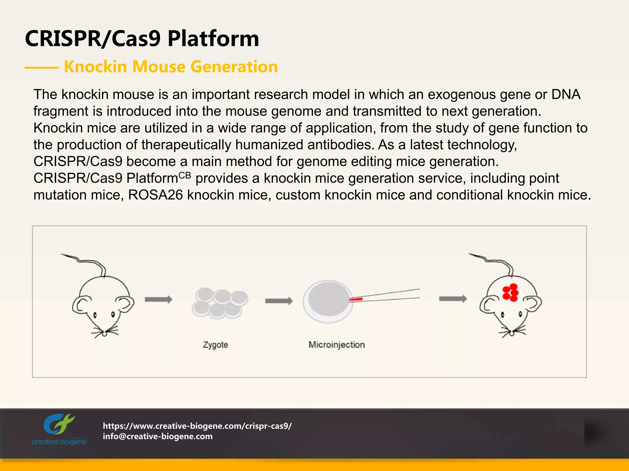 CRISPR/Cas9 Platform | PPTX