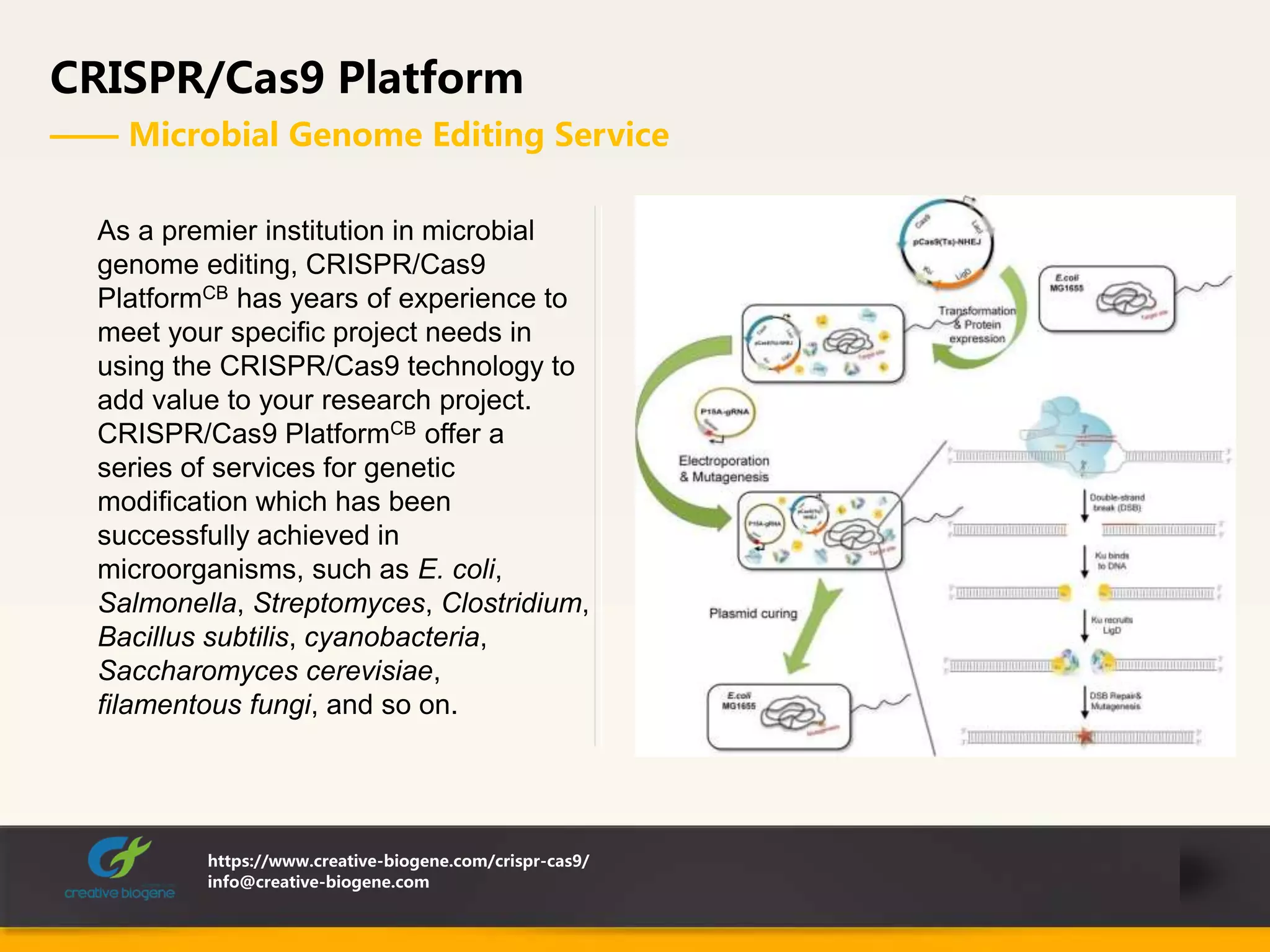 CRISPR/Cas9 Platform | PPTX