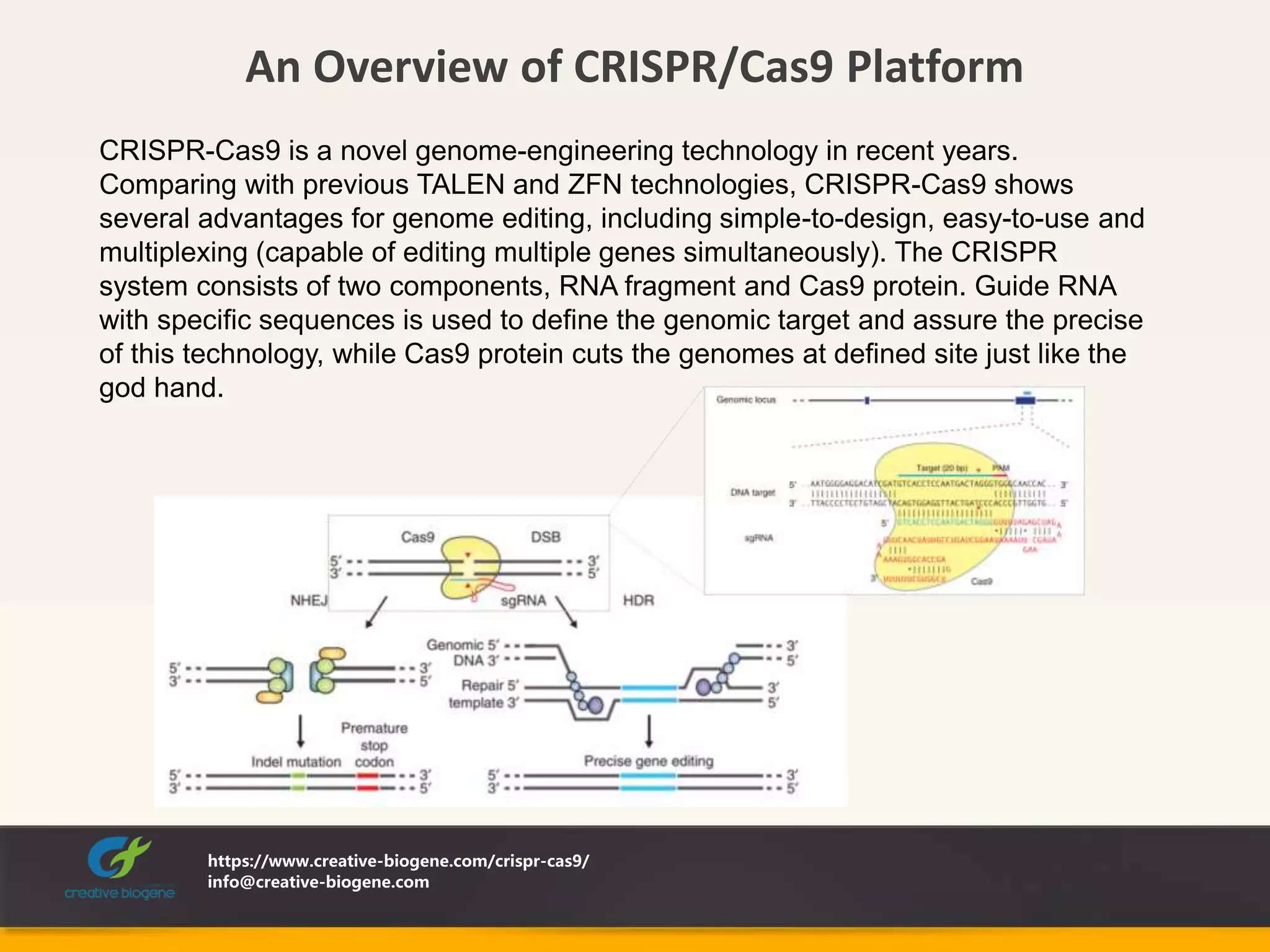 CRISPR/Cas9 Platform | PPTX