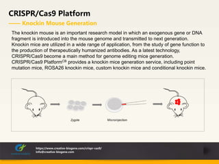 CRISPR/Cas9 Platform | PPTX