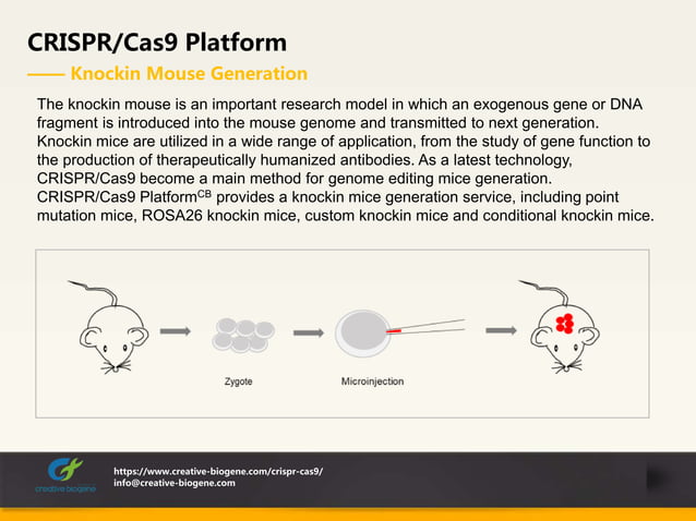 CRISPR/Cas9 Platform | PPTX | Programming Languages | Computing