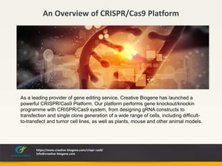 CRISPR/Cas9 Platform | PPTX