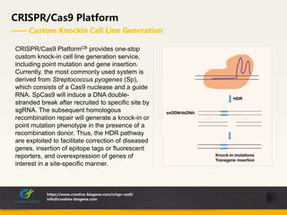 CRISPR/Cas9 Platform | PPTX