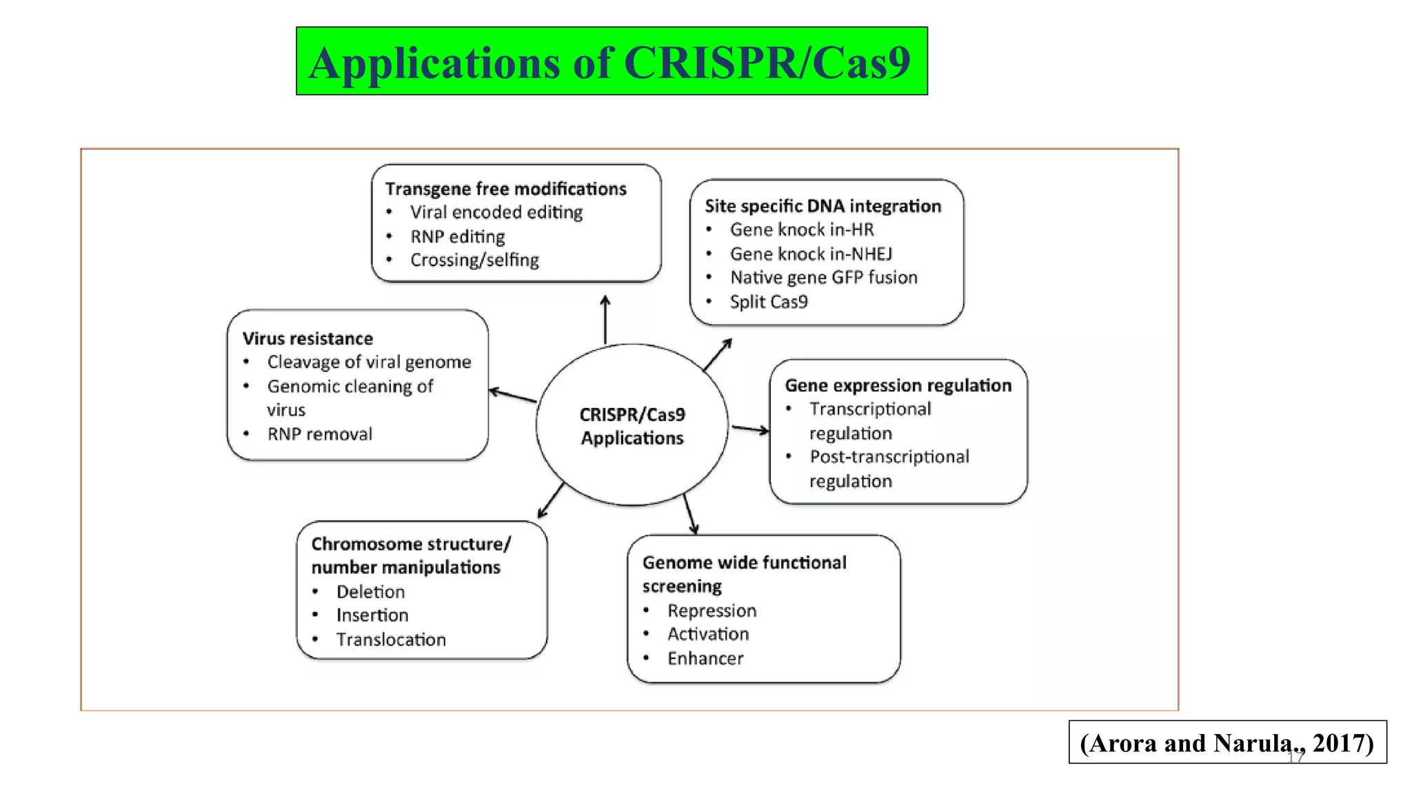 CRISPR Cas 9 role in plant disease management.pdf | Programming ...