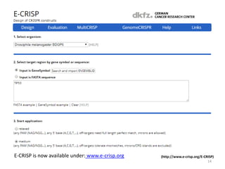 Crispr cas9 scalpels and their application | PPTX