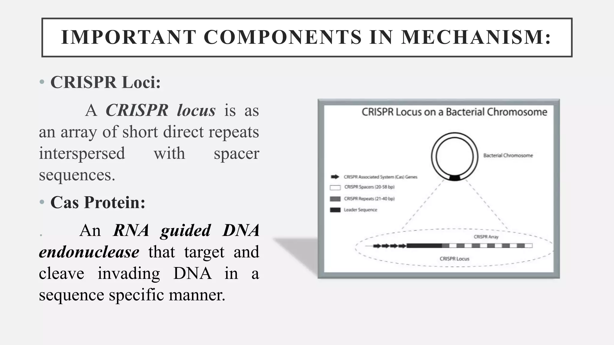 CRISPR Cas 9 TECHNOLOGY | PPTX