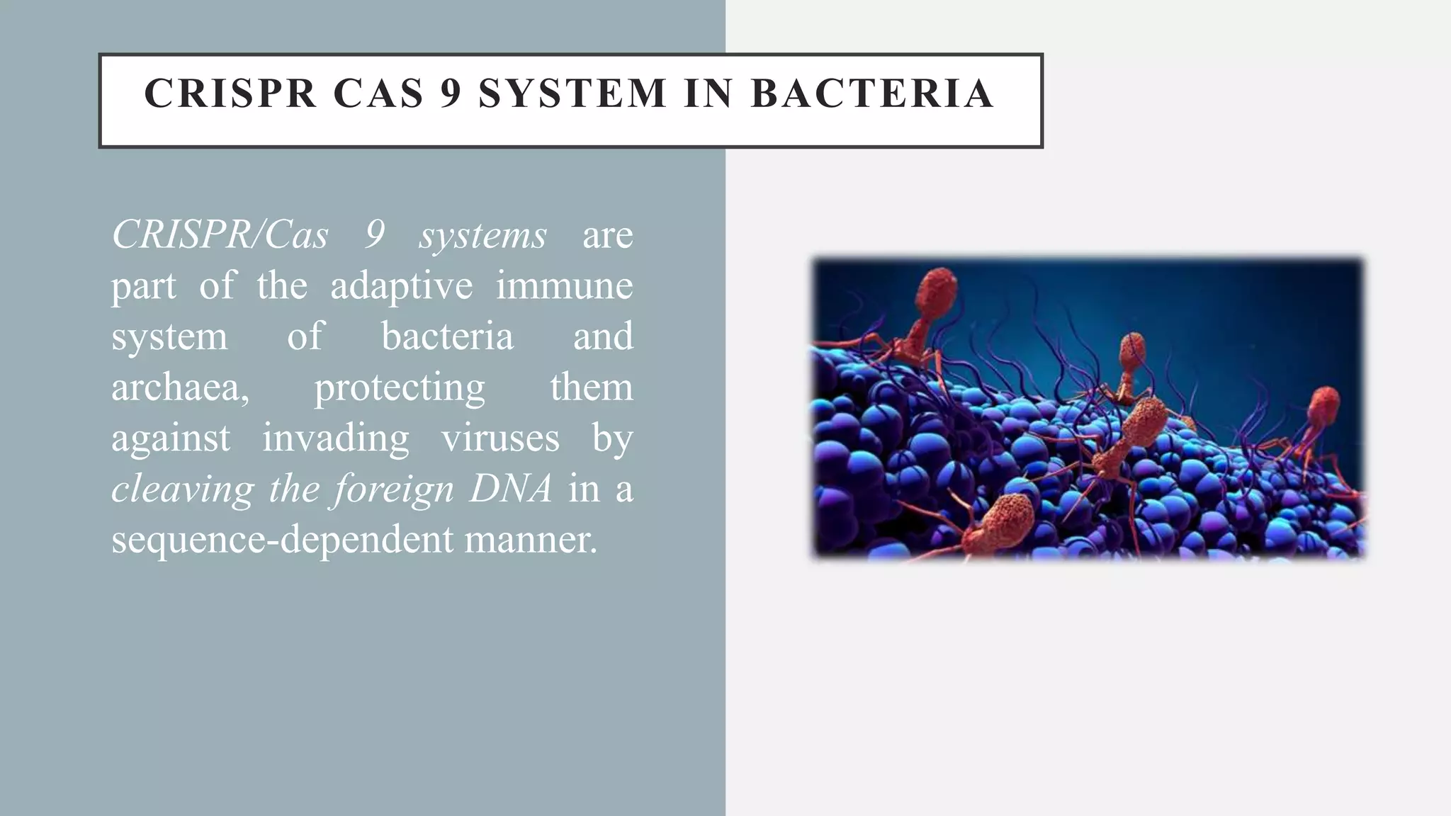 CRISPR Cas 9 TECHNOLOGY | PPTX