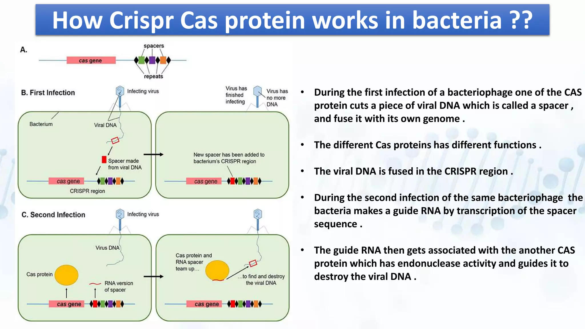 CRISPR Cas9 technology.pptx