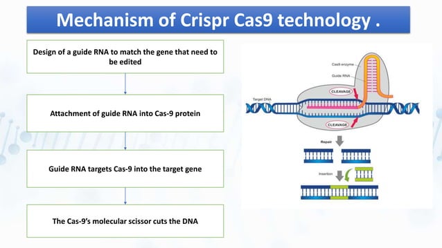 CRISPR Cas9 technology.pptx