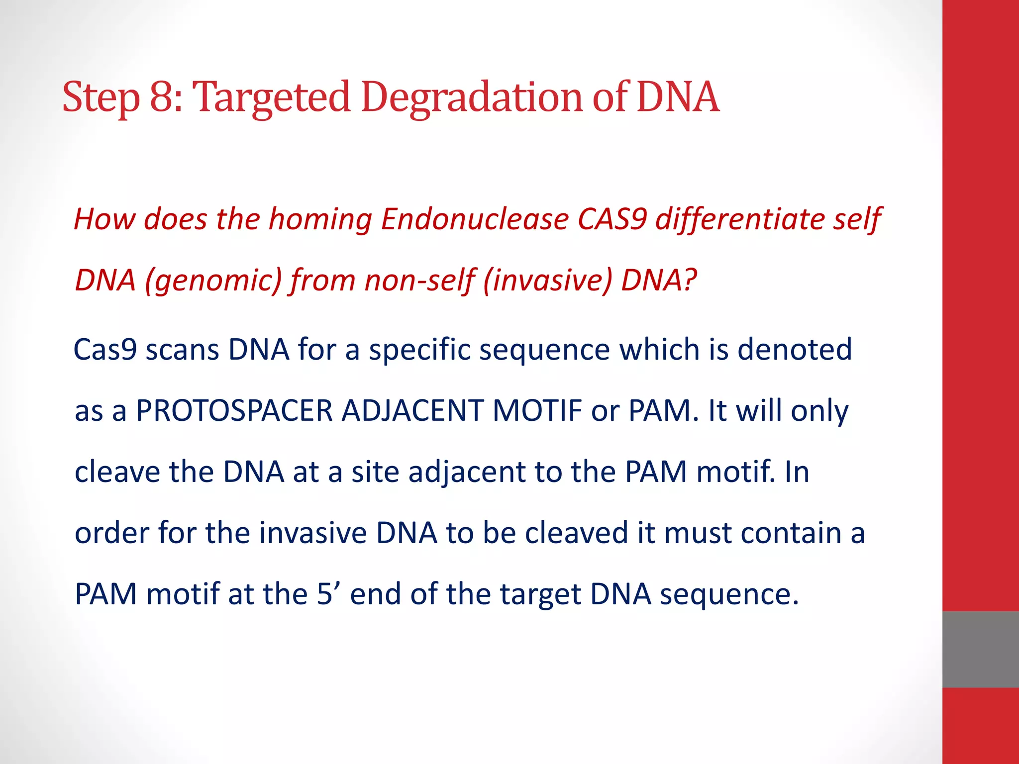 PRINCIPLE OF CRISPR GENOME EDITING | PPTX
