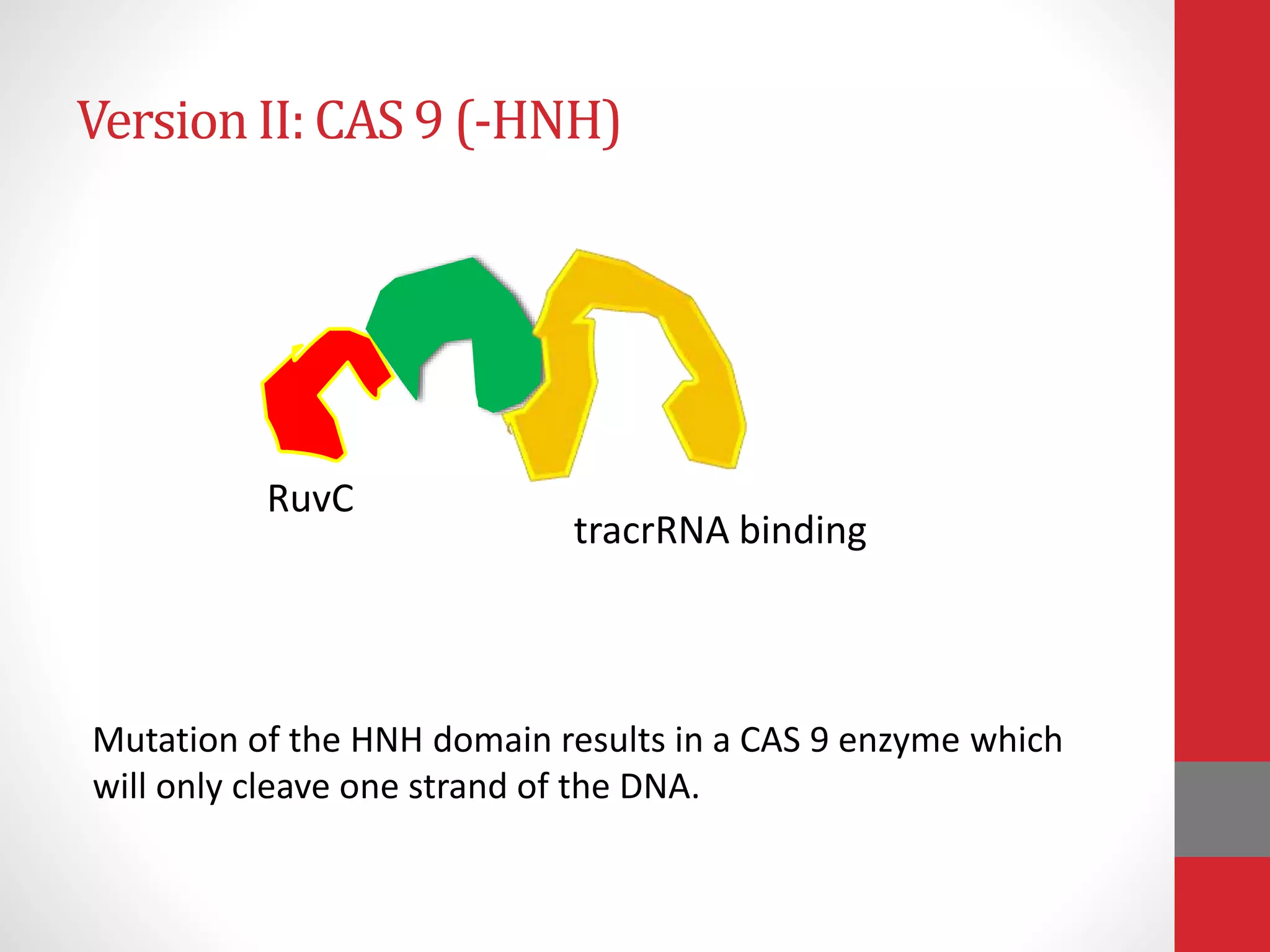 PRINCIPLE OF CRISPR GENOME EDITING | PPTX
