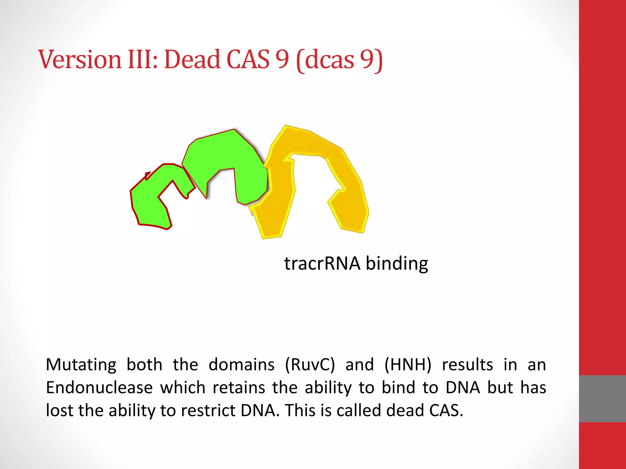 PRINCIPLE OF CRISPR GENOME EDITING | PPTX
