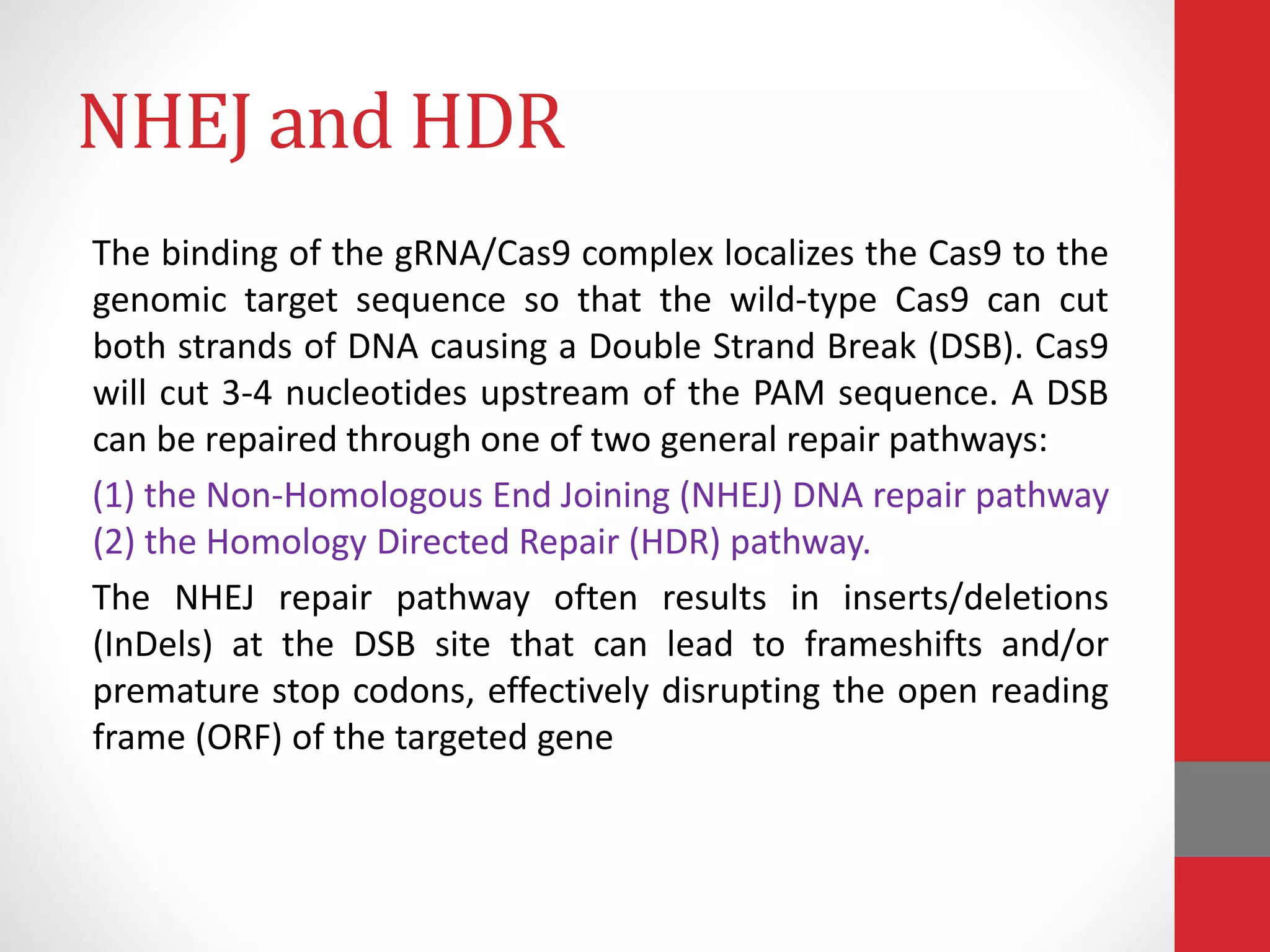 PRINCIPLE OF CRISPR GENOME EDITING | PPTX