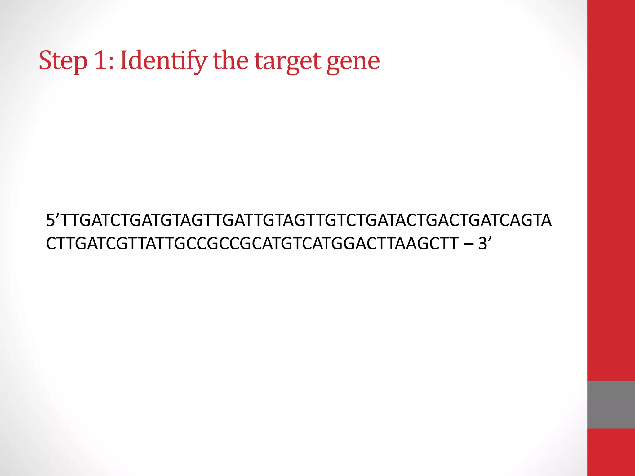 PRINCIPLE OF CRISPR GENOME EDITING | PPTX